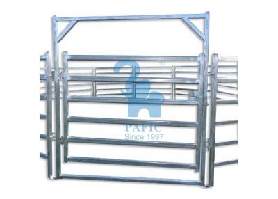 Cina Recinto per bestiame del tubo del metallo che recinta i pannelli del recinto del recinto per bestiame del foraggio per il cavallo/capra in vendita