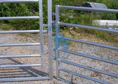 Cina Pannelli mobili d'acciaio galvanizzati del recinto del recinto per bestiame della mucca per l'elevazione dei vitelli in vendita