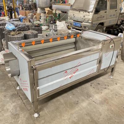 China línea de transformación de la verdura de la lavadora de la burbuja de la peladora del rolle de las lanas de la zanahoria 500kg/h y de la verdura de la máquina de la limpieza de la fruta en venta