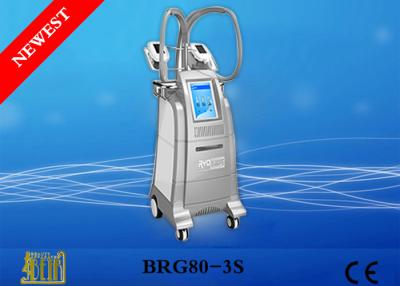 中国 8 インチ スクリーンによって機械脂肪質の凍結を細くする 2 つの頭部 Cryolipolysis 販売のため