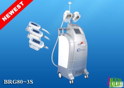 Cina 110V / macchina portatile di Cryolipolysis delle anti celluliti 220V con la dimensione del cuscinetto di 5*7.8cm/5*6cm Cryo in vendita
