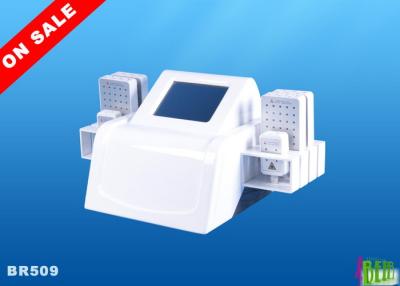 中国 三菱脂肪質の減少のための機械涼しい lipolaser を細くする 168 のダイオード Lipolaser 販売のため