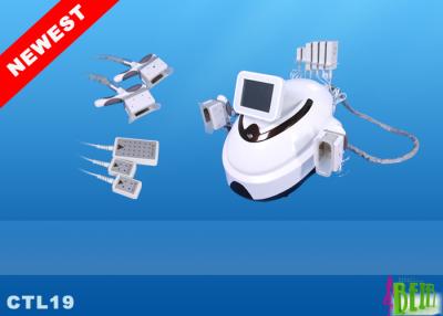 Cina Corpo di Cryolipolysis di rimozione delle celluliti della vita che scolpisce i diodi Lipolaser della macchina 104 in vendita