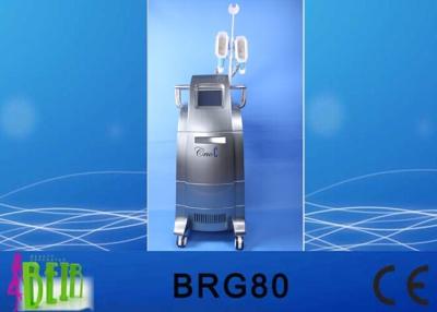 Cina Pancia/vita che congela il corpo di Cryolipolysis che scolpisce macchina con il doppio pulsometro in vendita