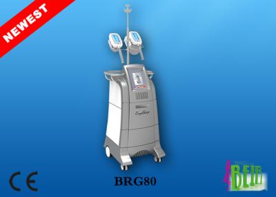 Cina 3S Cryolipolysis che dimagrisce macchina/il macchinario di congelamento grasso bellezza di crioterapia in vendita