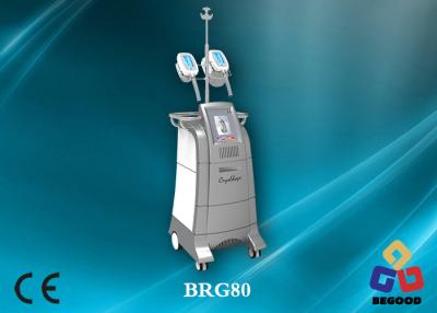 Cina BEIR 3S Cryolipolysis che dimagrisce la macchina, Coolsculpting LaserWeight perdono l'attrezzatura in vendita