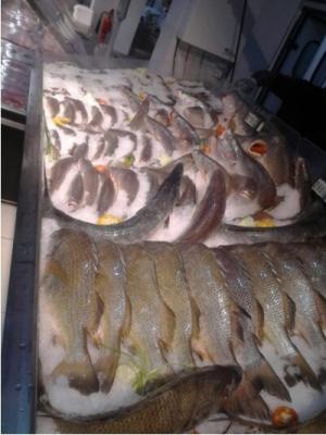 중국 구부려진 유리제 샌드위치 가게 전시 냉장고/고기 전시 진열장 큰 수용량 판매용
