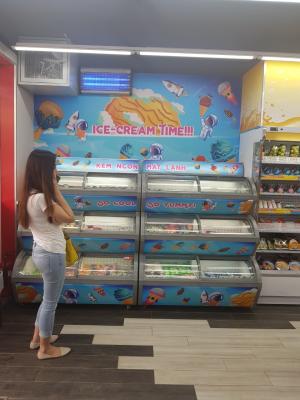 China controlador inteligente de la vitrina del helado de la encimera de 900W 110V en venta