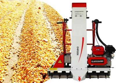Cina Auto che cammina il riso facile di operazione che raccoglie l'insacchettatrice del cereale della macchina in vendita