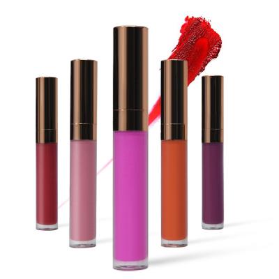 Κίνα Τα όμορφα προϊόντα χειλικού Makeup που το υγρό χείλι σχολιάζει 20 χρώματα στεγανοποιούν 3 έτη εξουσιοδότησης προς πώληση