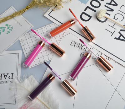 Κίνα Τα όμορφα προϊόντα χειλικού Makeup που το υγρό χείλι σχολιάζει 20 χρώματα στεγανοποιούν 3 έτη εξουσιοδότησης προς πώληση