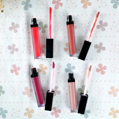 Κίνα Το χείλι Makeup 17 χρωμάτων σχολιάζει, ιδιαίτερα χρωματισμένο ορυκτό συστατικό κραγιόν προς πώληση