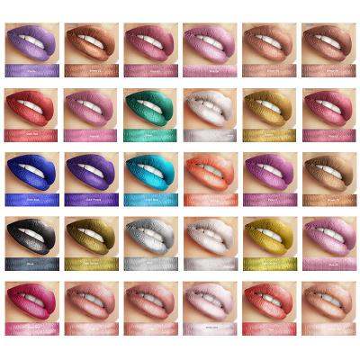 Chine Haute marque de distributeur durable Lipgloss de produits de maquillage de lèvre de colorant d'OEM 30 couleurs à vendre