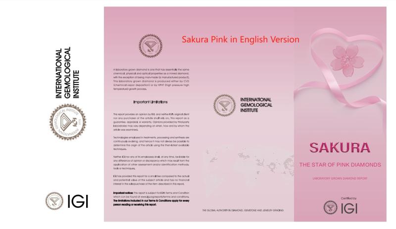 IGI pink diamonds exclusive certification - Shenzhen ZKZ Jewelry Co., Ltd.