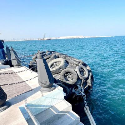 중국 팔레트 포장과 80 Deg C 공기식 방충재 80kPa에 대한 -40 Deg C 판매용