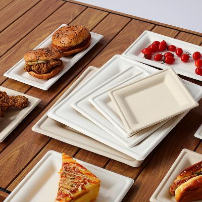 Chine Couleur naturelle Disposable de la canne à sucre Bagasse plaques en papier pour les aliments avec tous les accessoires à vendre