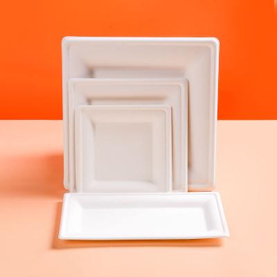 Chine Couleur naturelle Disposable de la canne à sucre Bagasse plaques en papier pour les aliments avec tous les accessoires à vendre