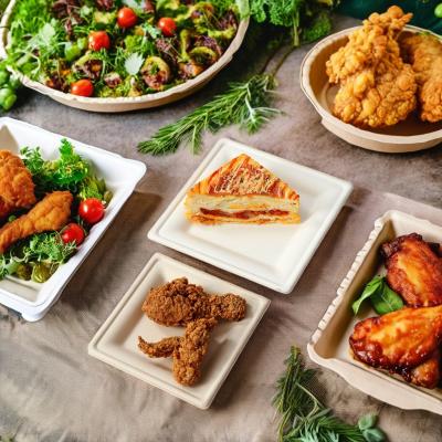 Chine Couleur naturelle Disposable de la canne à sucre Bagasse plaques en papier pour les aliments avec tous les accessoires à vendre