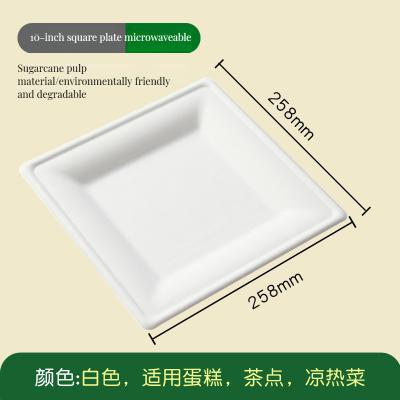 Chine Des assiettes de dîner jetables de canne à sucre personnalisées, écologiques, de couleur naturelle à vendre