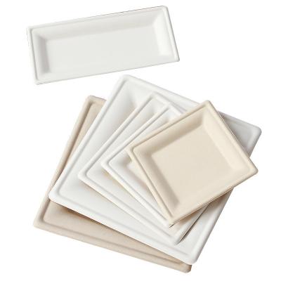 Chine 1 paquet de assiettes en papier jetables à base de bagasse pour le retour à l'école à vendre