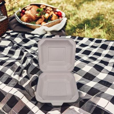 Chine Choix de l'acheteur commercial Boîtes à repas en plastique carré jetable avec couvercle de coffre-fort au micro-ondes à vendre