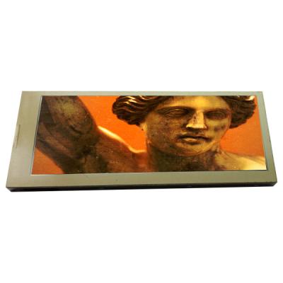 China pantalla de visualización estirada 6,5 pulgadas TCG066AALPAANN-GN00 del lcd de la barra en venta
