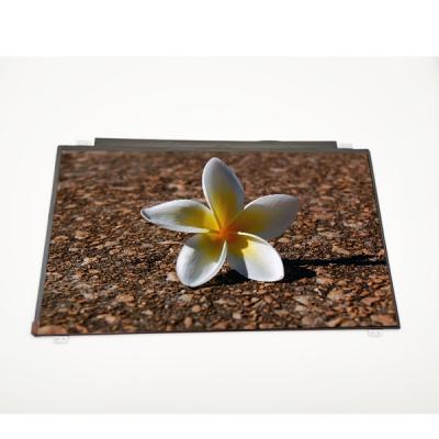 中国 BOE 縦ストライプ 15.6 液晶パネル NV156FHM-N31 1920*1080 LCD ラップトップ スクリーン 販売のため