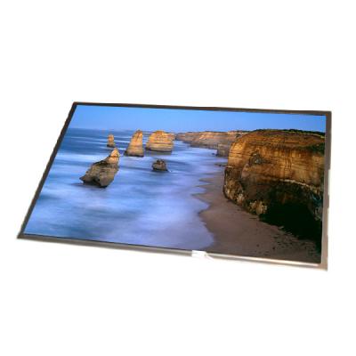China B121EW01 V1 Ecrã TFT-Lcd de 12,1 polegadas Para Laptop 1280*800 LVDS à venda