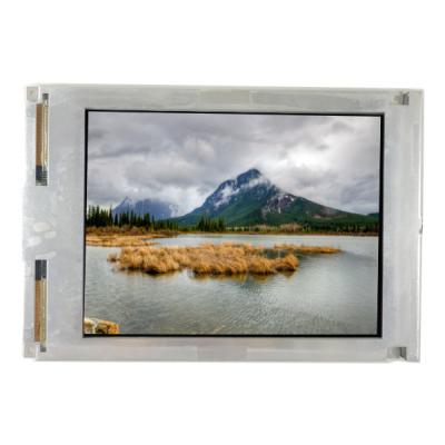 Cina KL6448USTS-FW 6.9 pollici 640*480 LCD Display Panel in vendita