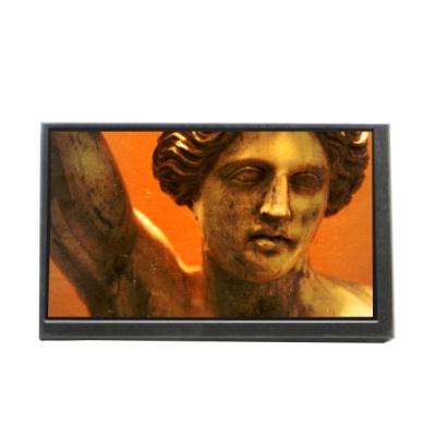 Cina TCG070WVLPEANN-AN20 7.0 pollici 800*480 pannello LCD per Kyocera in vendita