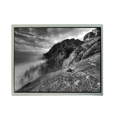 Cina TCG121XGLPAPNN-AN20-TA 12,1 pollici schermo LCD 1024*768 in vendita