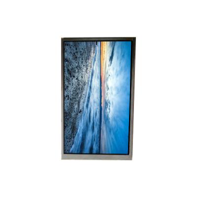 Китай BS052FHM-A00-6C01 5,2-дюймовый ЖК-дисплей ЖК-экран ПАНЕЛЬ продается