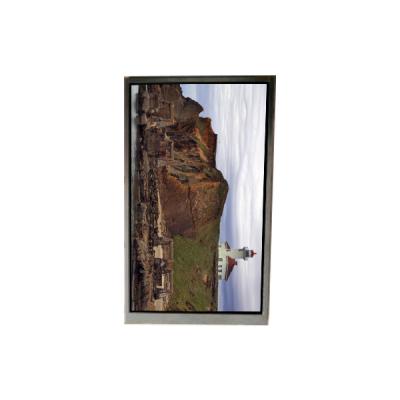 China BS055FHE-E35-6Q00 5,5-Zoll-LCD-Display LCD-Bildschirm zu verkaufen