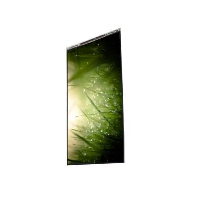 중국 BS055FHG-E41-6C00 5.5 인치 LCD 디스플레이 LCD 화면 패널 휴대 전화 판매용