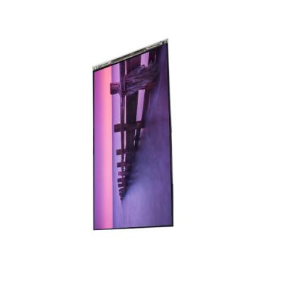 China BS055FHS-L31-6Q00 Pantalla de pantalla LCD de 5,5 pulgadas en venta