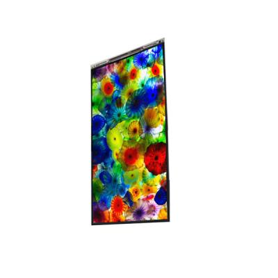 China BS060WKE-LB0-6Q00 6,0 Zoll LCD-Display LCD-Bildschirm zu verkaufen