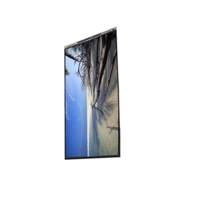 Chine BS060Y8E-L30-6Q00 6.0 pouces affichage LCD écran LCD PANEL Pour téléphone portable à vendre