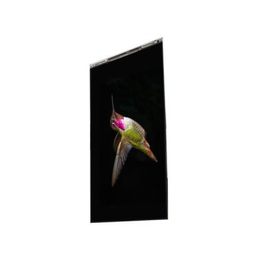 China BS062FBE-L30-6Q00 6.3 pulgadas pantalla LCD LCD PANEL para teléfono móvil en venta