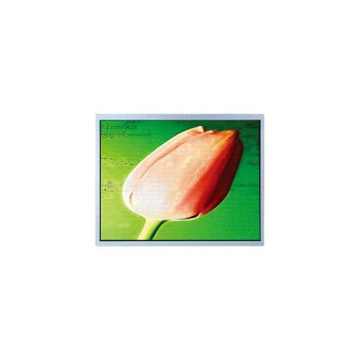 중국 오리지널 10.4인치 AM-1024768T1TMQW-T00H TFT 262K LCD 화면 판매용