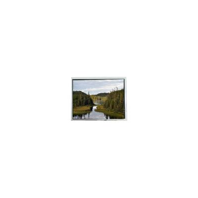 China 2.0 pulgadas pantalla LCD 20QVF0H monitor LCD para portátil en venta