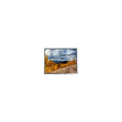 China FG0700K5DSSWBG01 7.0 polegadas LCD SCREEN para exibição automotiva à venda