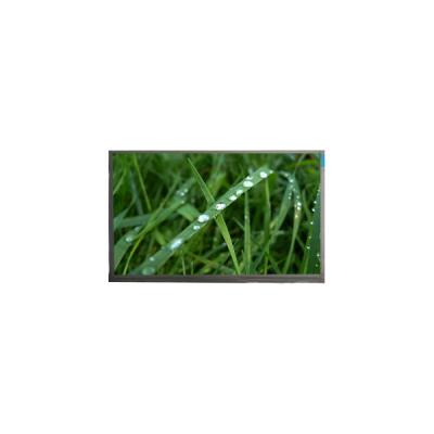 중국 10.1인치 LCD 화면 N101BGE-L31 262K LCD 모니터 판매용
