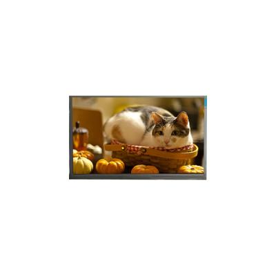 중국 N140BGE-P23 14.0 인치 60Hz 262K LCD 패널 디스플레이 화면 판매용