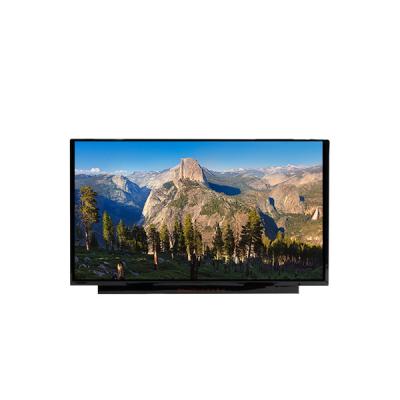 China 15.6 pulgadas NE156QHM-NY2 pantalla LCD para computadora portátil en venta