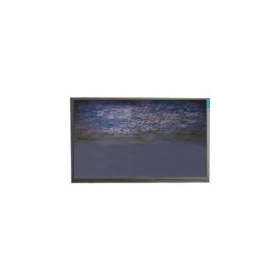 China U055SWRA-1 5,5-Zoll-Lcd-Bildschirm-Panel 720*1440 Lcd-Displaymodul zu verkaufen
