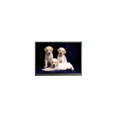 China 800*1280 F080A27-6T1 8.0 pulgadas TFT Pantalla de pantalla LCD en venta