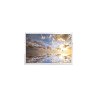 중국 70.0인치 TCG070WVLQEPFB-AA20 800*480 TFT-LCD 화면 모듈 판매용