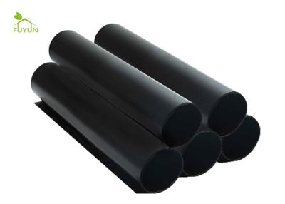 Cina tessuto di 250gsm Geomembrane in vendita