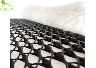 China 3 dimensionale Geomat voor Oprijlanen, Netto de Drainage van Geocomposite van de Bestratingsstichting Te koop