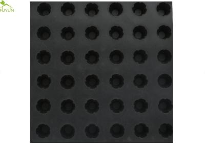 China Ventilatie Dimple Height 12mm Drainage Geocomposite Mat Football Field Greening Te koop